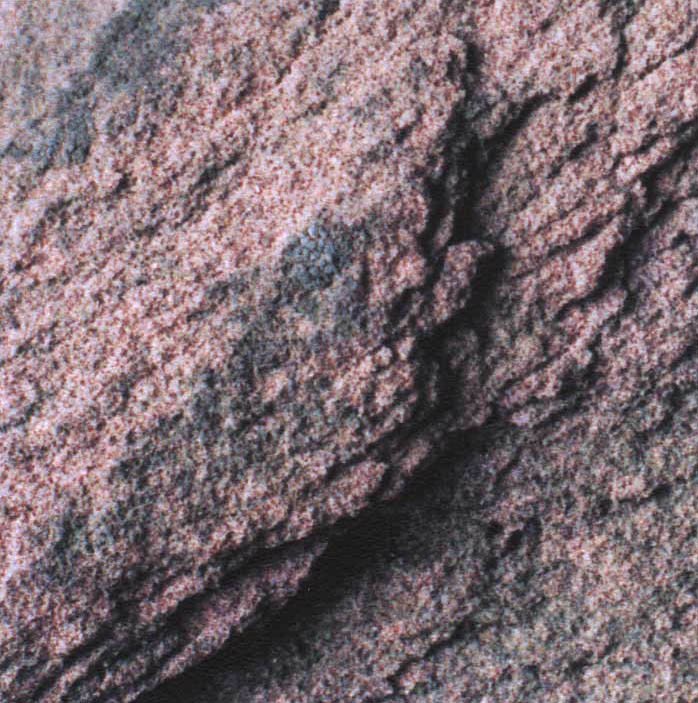 Cold Summer — Lull | Last.fm