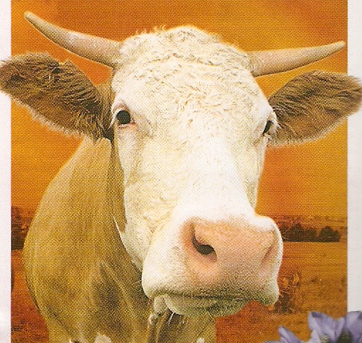 adult-child’s Music Profile | Last.fm