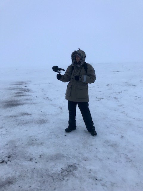 Rostock - Termine - Veranstaltungen - Musik - News