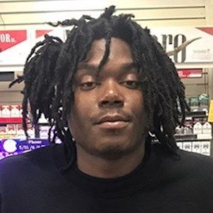 zi8gzag’s Music Profile | Last.fm