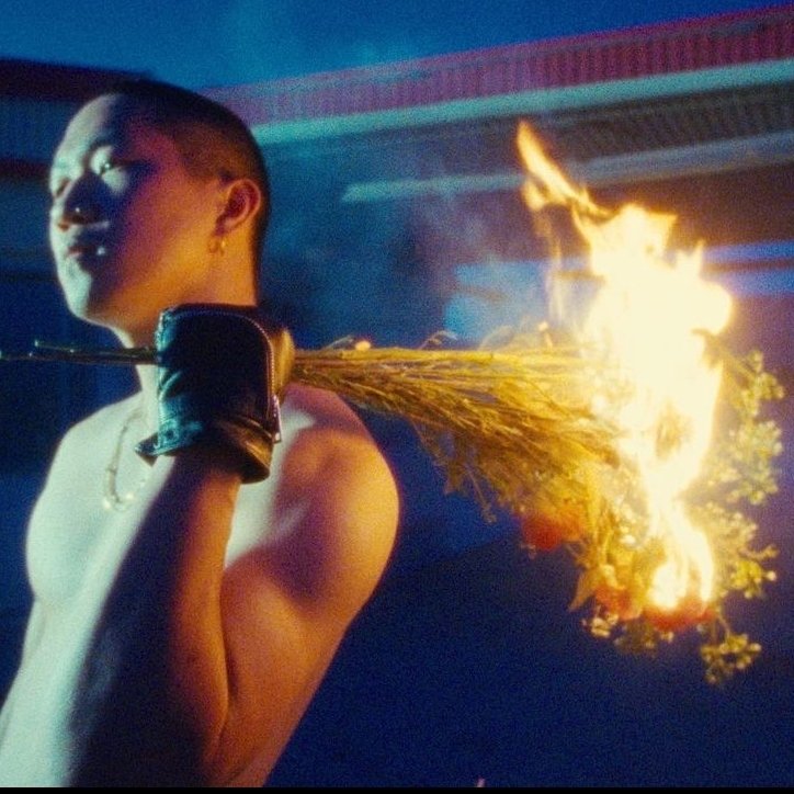 Boylife music, videos, stats, and photos | Last.fm