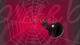 Cobweb music, videos, stats, and photos | Last.fm