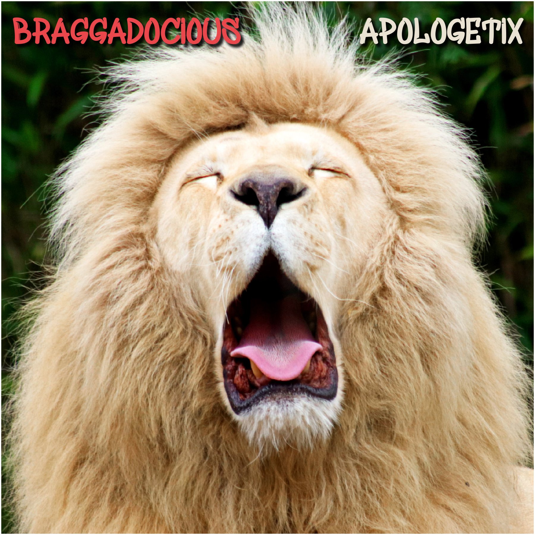 Braggadocious — ApologetiX | Last.fm