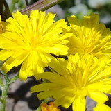 HPmelody’s Library | Last.fm