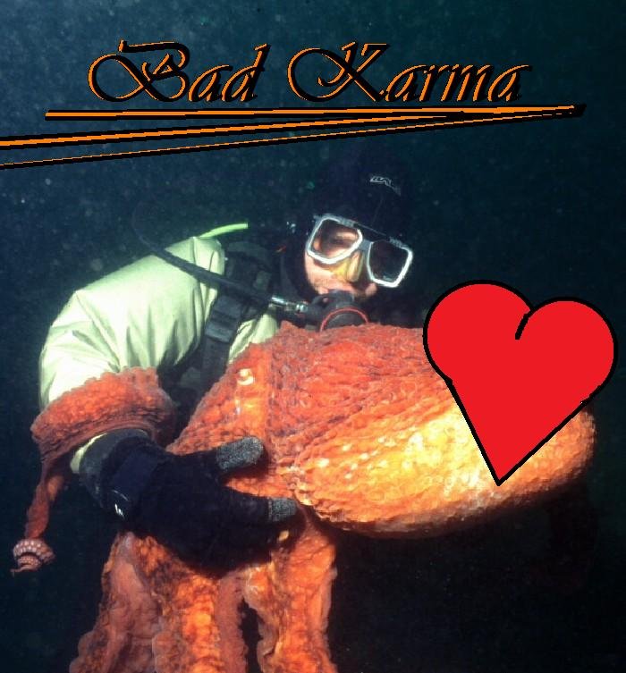 BadKarma music, videos, stats, and photos | Last.fm