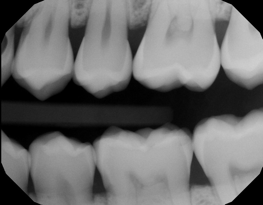 four_two_zero’s Music Profile | Last.fm