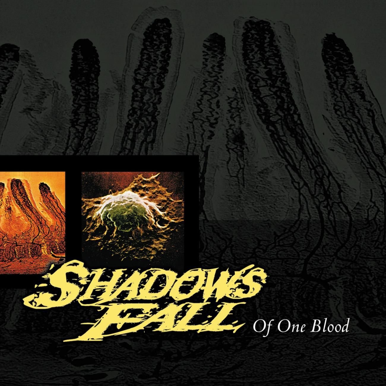 Of One Blood — Shadows Fall | Last.fm