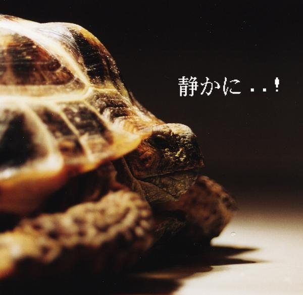 Shh..! music, videos, stats, and photos | Last.fm