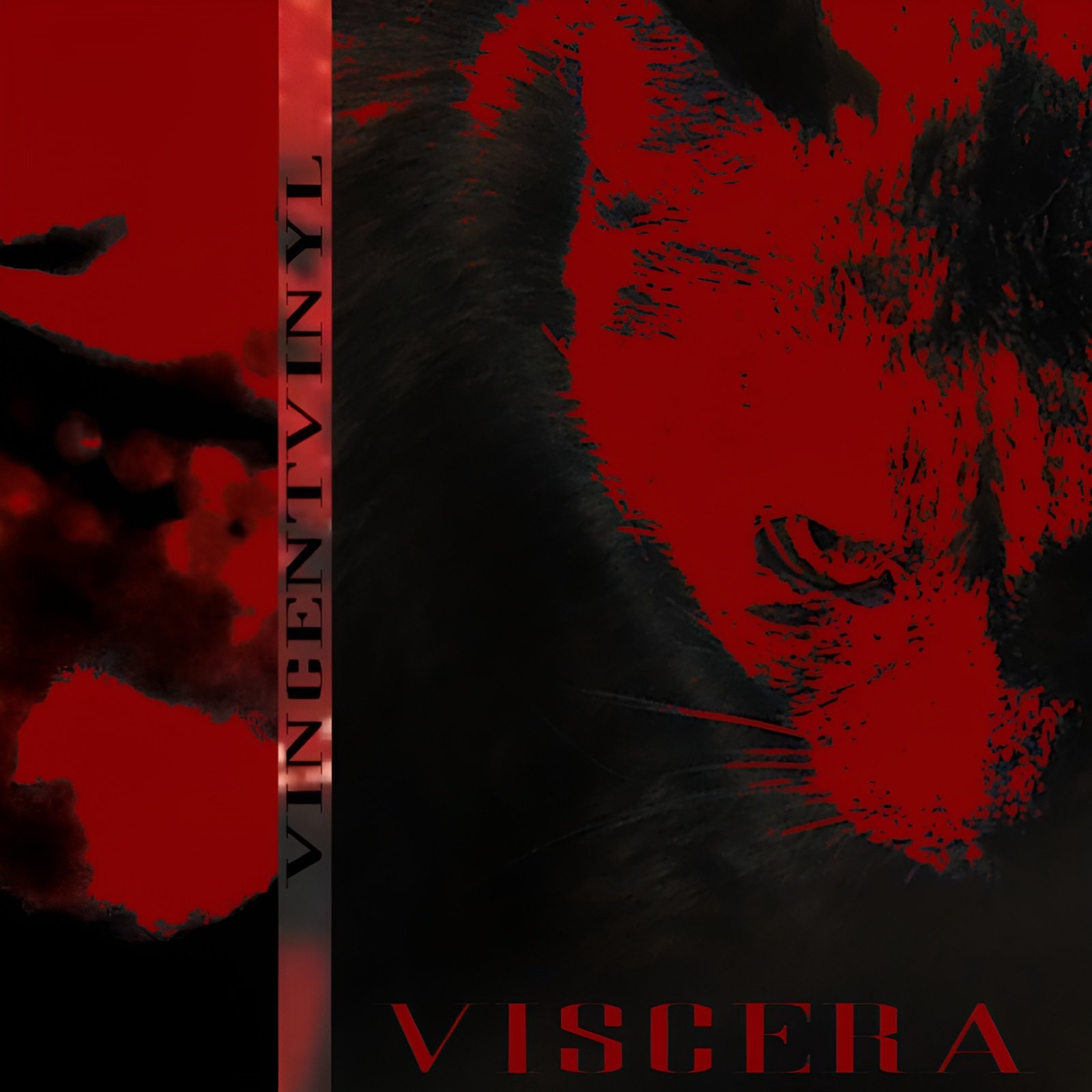 VISCERA — VINCENTVINYL | Last.fm