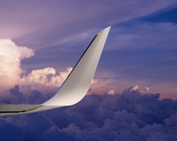 Winglets
