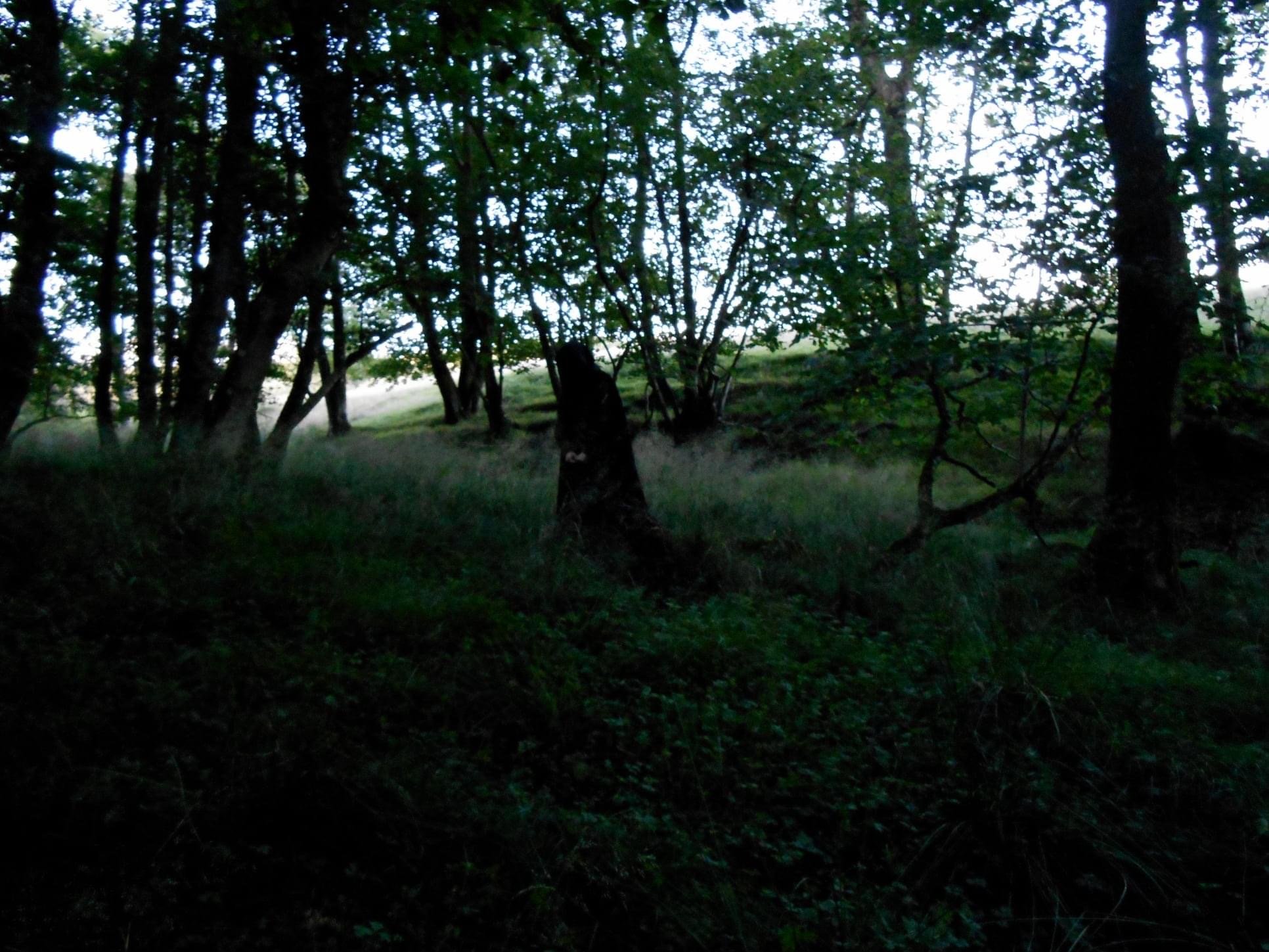 Hammemit music, videos, stats, and photos | Last.fm