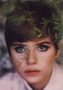 Norma Tracy's Instagram, Twitter & Facebook on IDCrawl