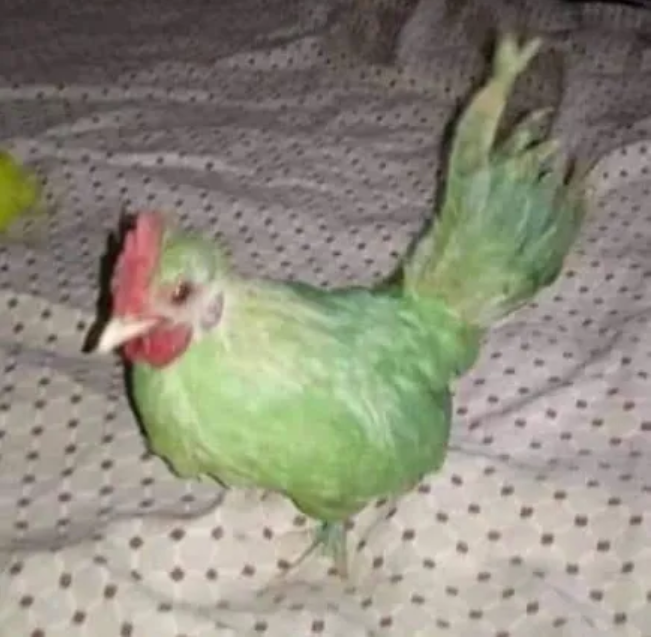 Mega_8960’s Library | Last.fm