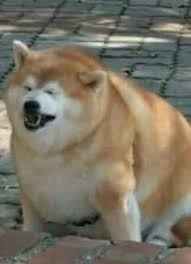 grenado_’s Music Profile | Last.fm