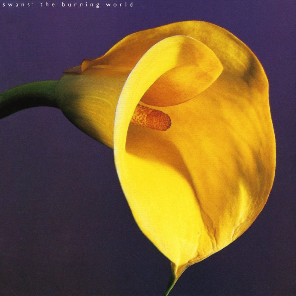 God Damn the Sun — Swans | Last.fm