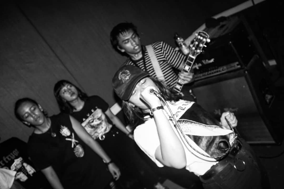 Vexed music, videos, stats, and photos | Last.fm