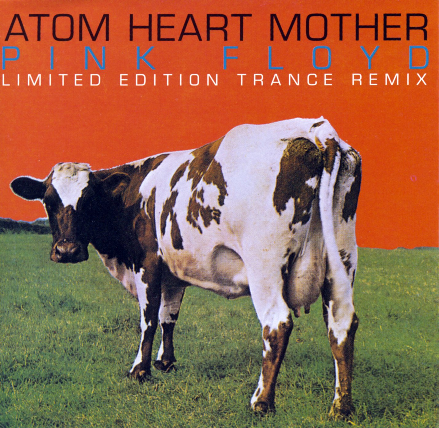 Pink Floyd Atom Heart Mother Suite