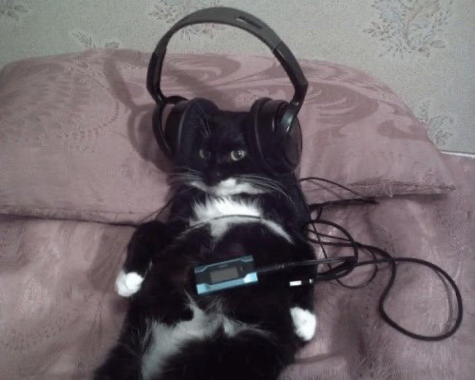 mntrbbbbb’s Music Profile | Last.fm