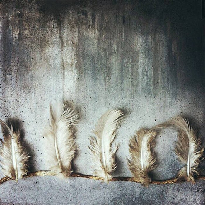 Chii music, videos, stats, and photos | Last.fm