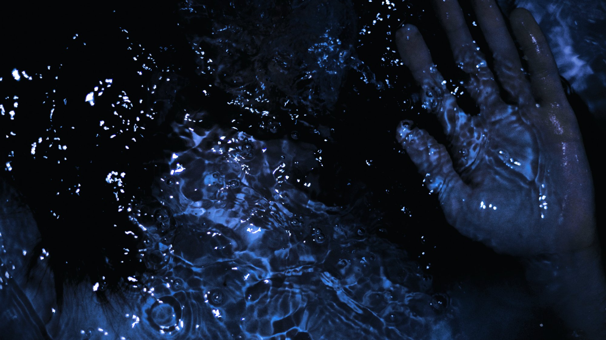 Drown music, videos, stats, and photos | Last.fm