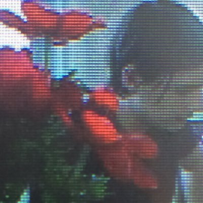 Woesum music, videos, stats, and photos | Last.fm