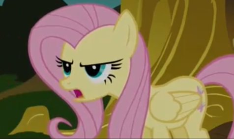 Flutterguy music, videos, stats, and photos | Last.fm