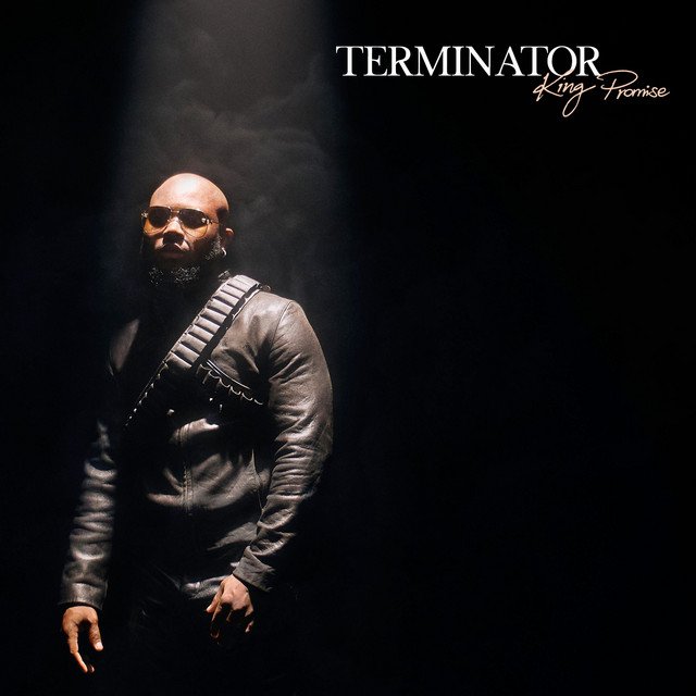 King Promise - Terminator Mp3 Downloads