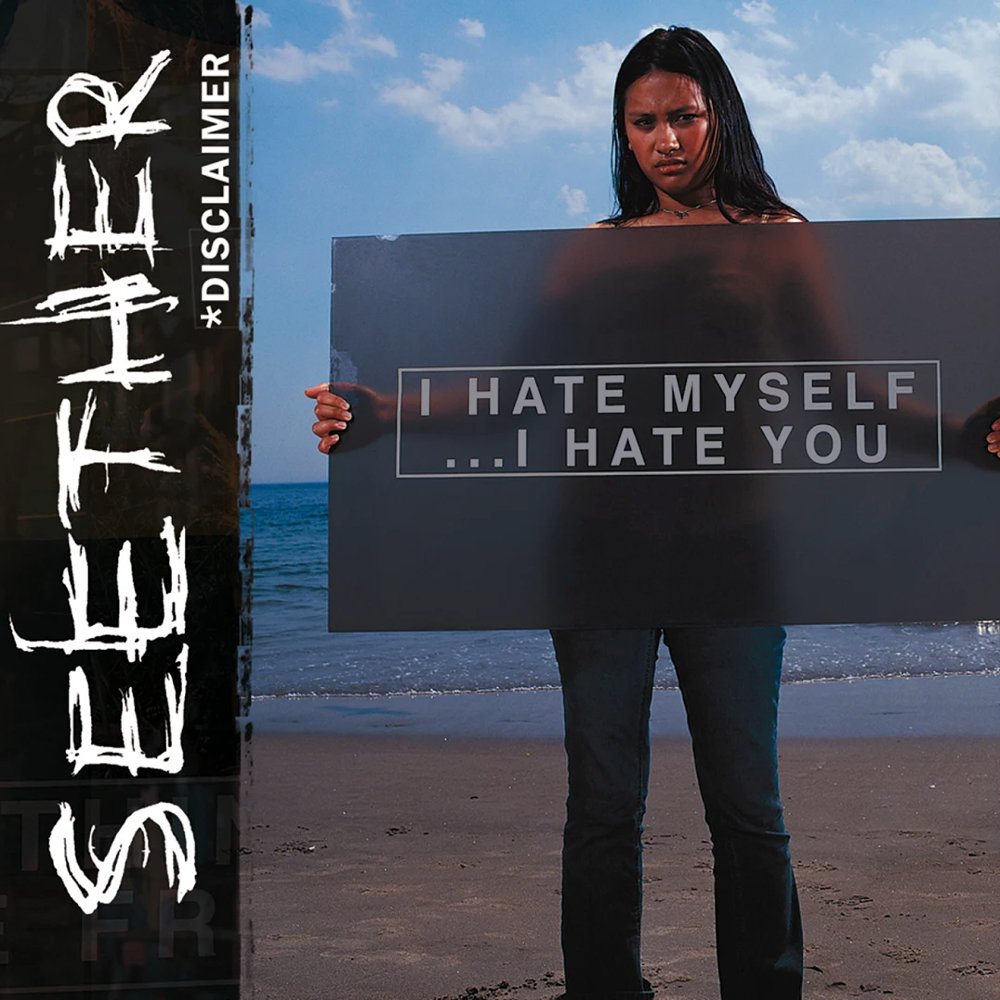 Seether Broken Live
