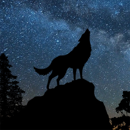 Control_Wolf’s Music Profile | Last.fm