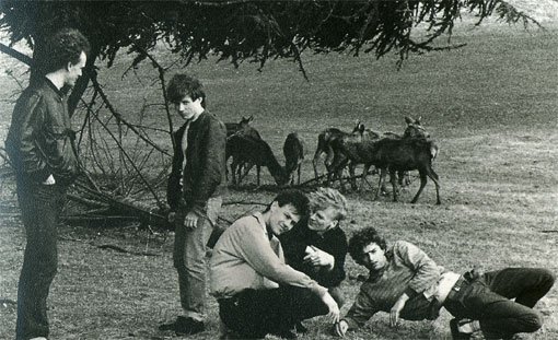 Bullfighter's Bones | The Shrubs | 8tracks radio