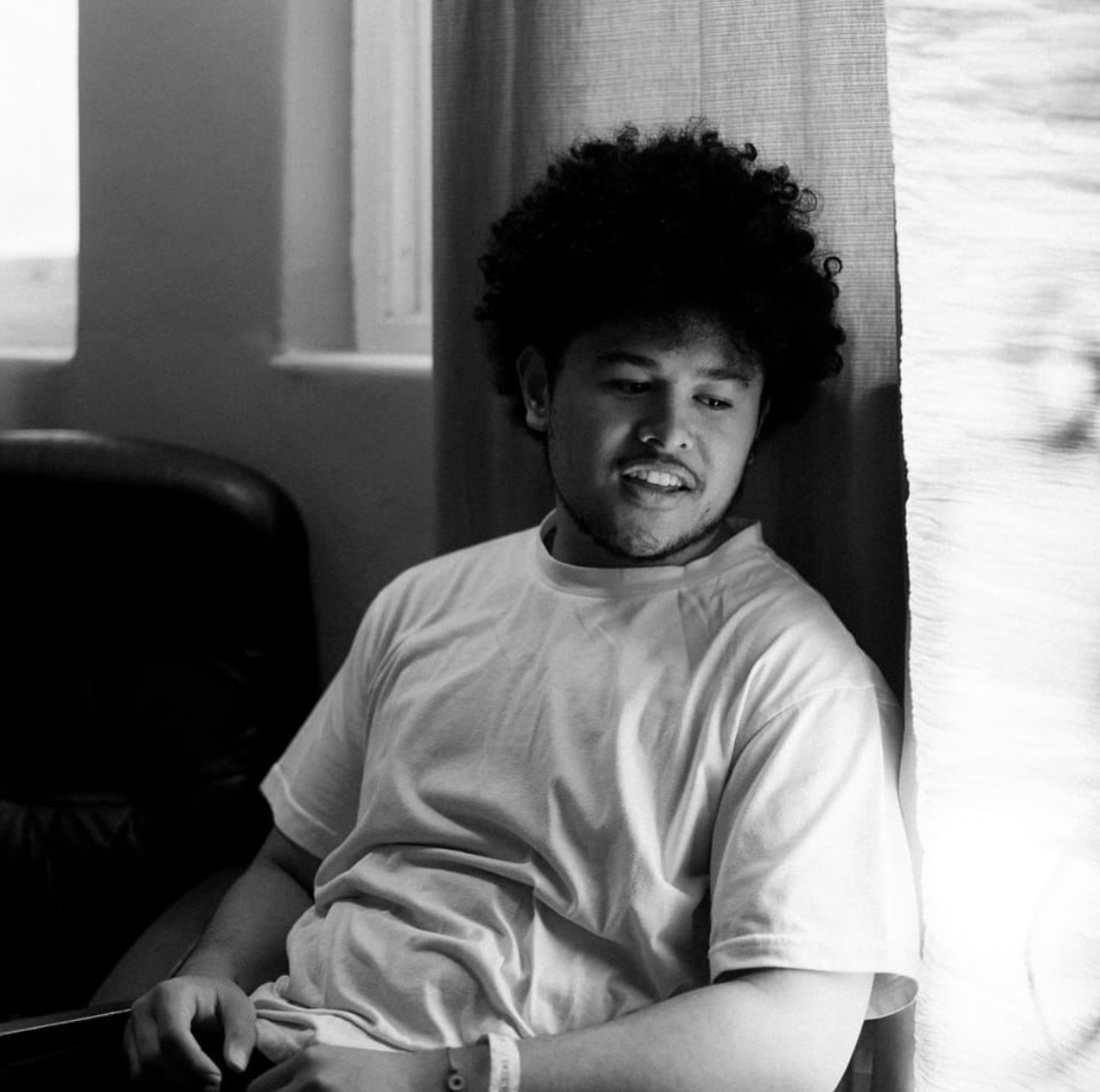 Hales music, videos, stats, and photos | Last.fm