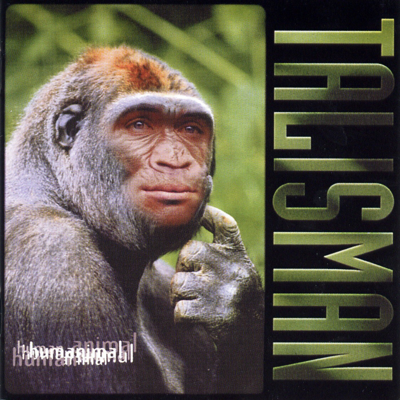 Humanimal — Talisman | Last.fm