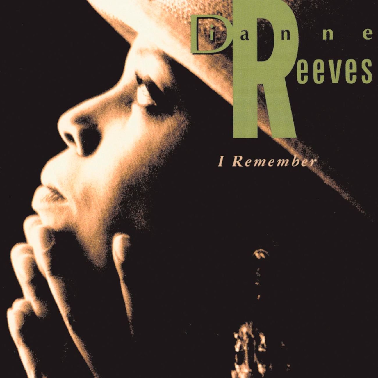 Dianne Reeves A Little Moonlight