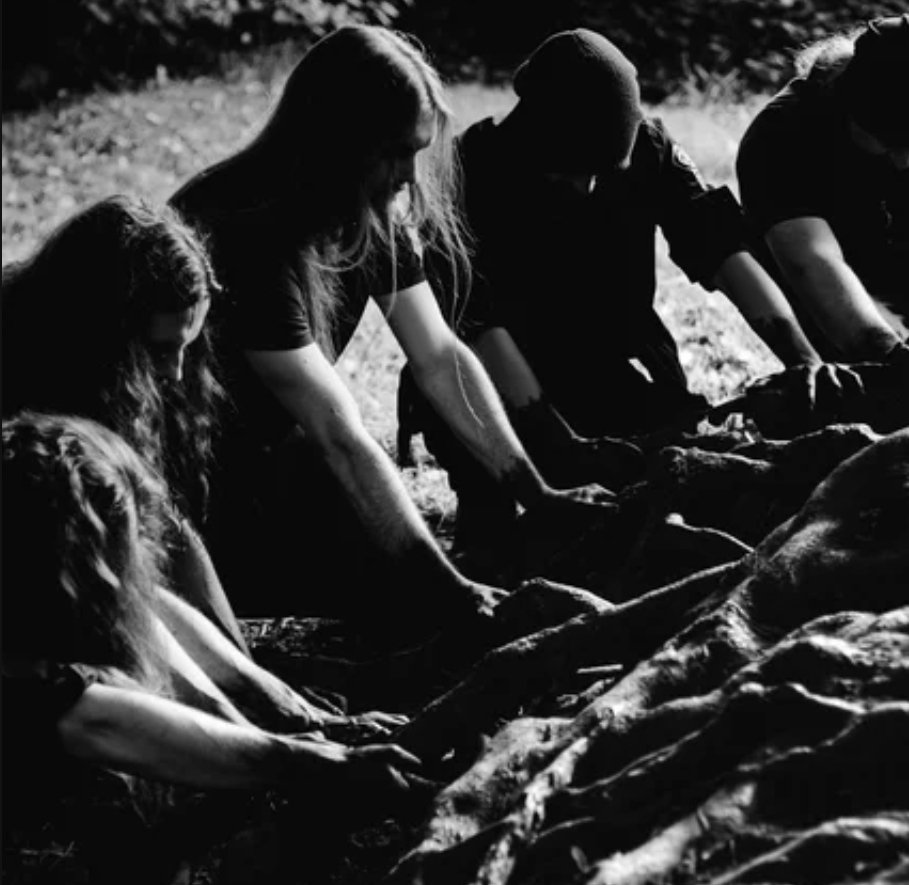 Músicas, vídeos, estatísticas e fotos de Cistvaen | Last.fm