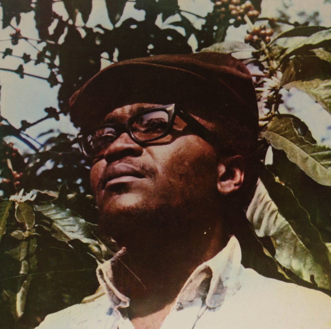 Teta Lando music, videos, stats, and photos | Last.fm