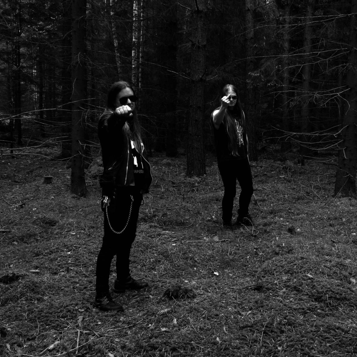 Rust music, videos, stats, and photos | Last.fm