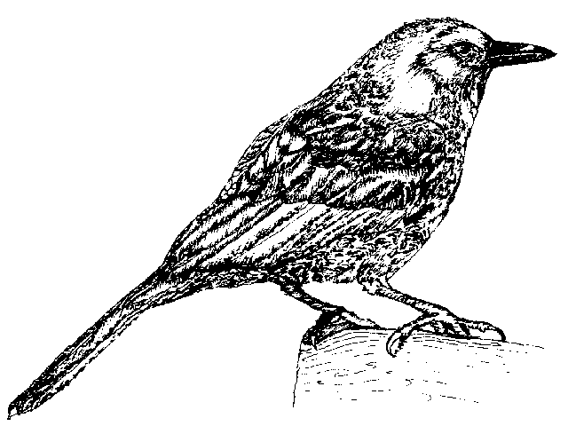 pemabo’s Music Profile | Last.fm