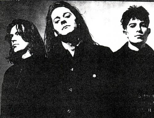 Skyscraper music, videos, stats, and photos | Last.fm