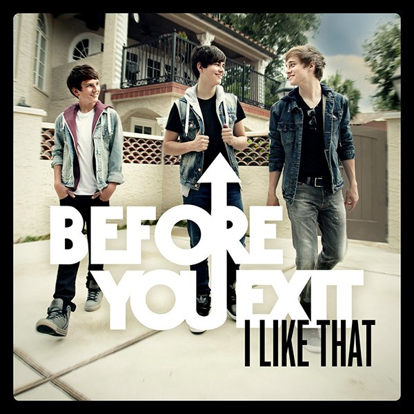 Before You Exit Braiden Wood