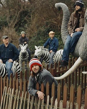 The Bees music, videos, stats, and photos | Last.fm