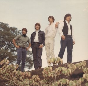 The Human Beinz music, videos, stats, and photos | Last.fm