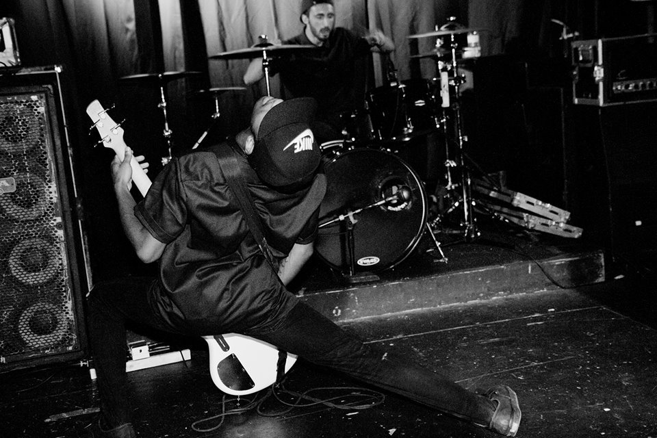 Animal music, videos, stats, and photos | Last.fm