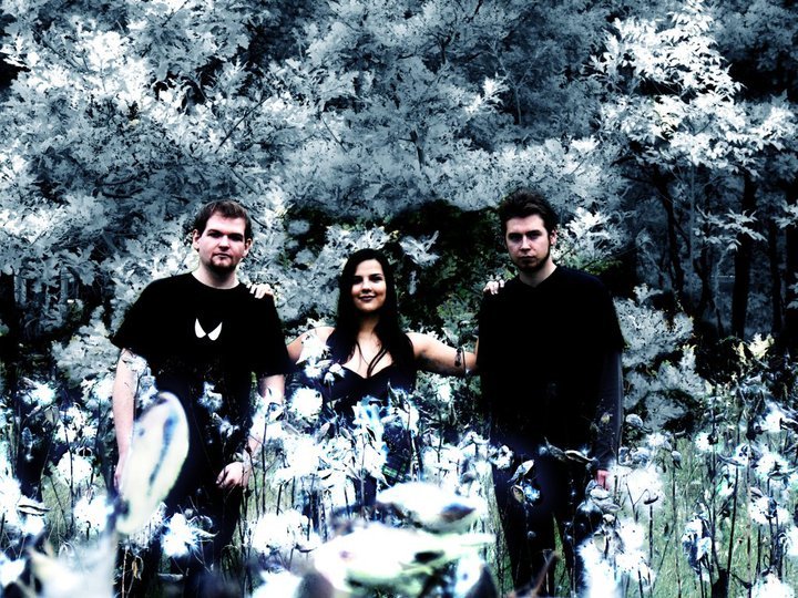 Obsidian Shell music, videos, stats, and photos | Last.fm