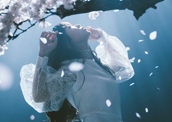 Aimer music, videos, stats, and photos | Last.fm