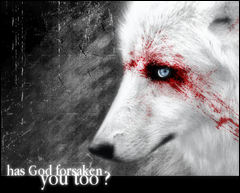 whiteFwolf’s Music Profile | Last.fm