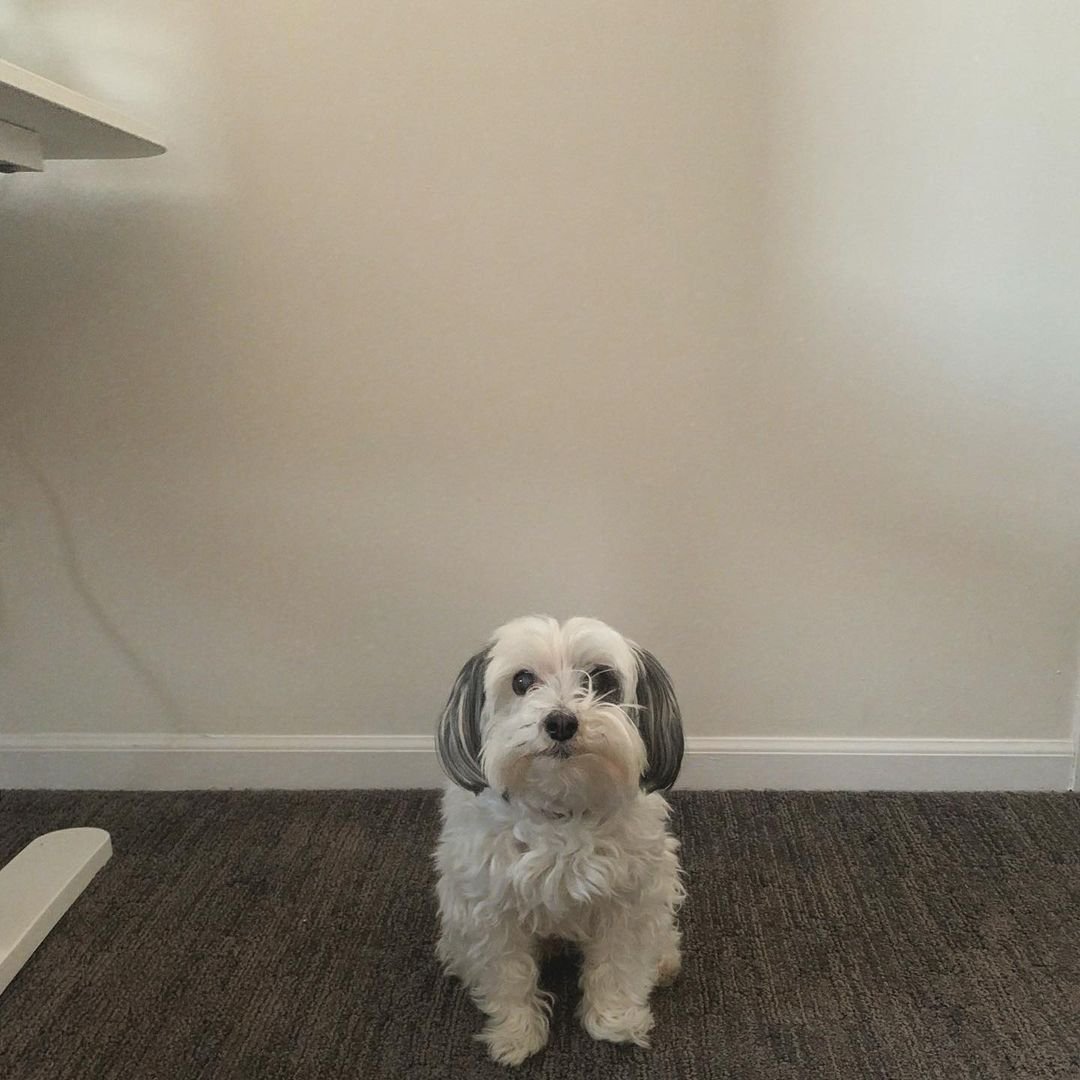 heylog music, videos, stats, and photos | Last.fm