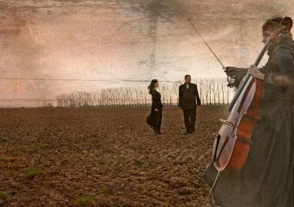 sToa music, videos, stats, and photos | Last.fm