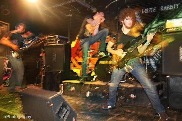 Pacifist music, videos, stats, and photos | Last.fm