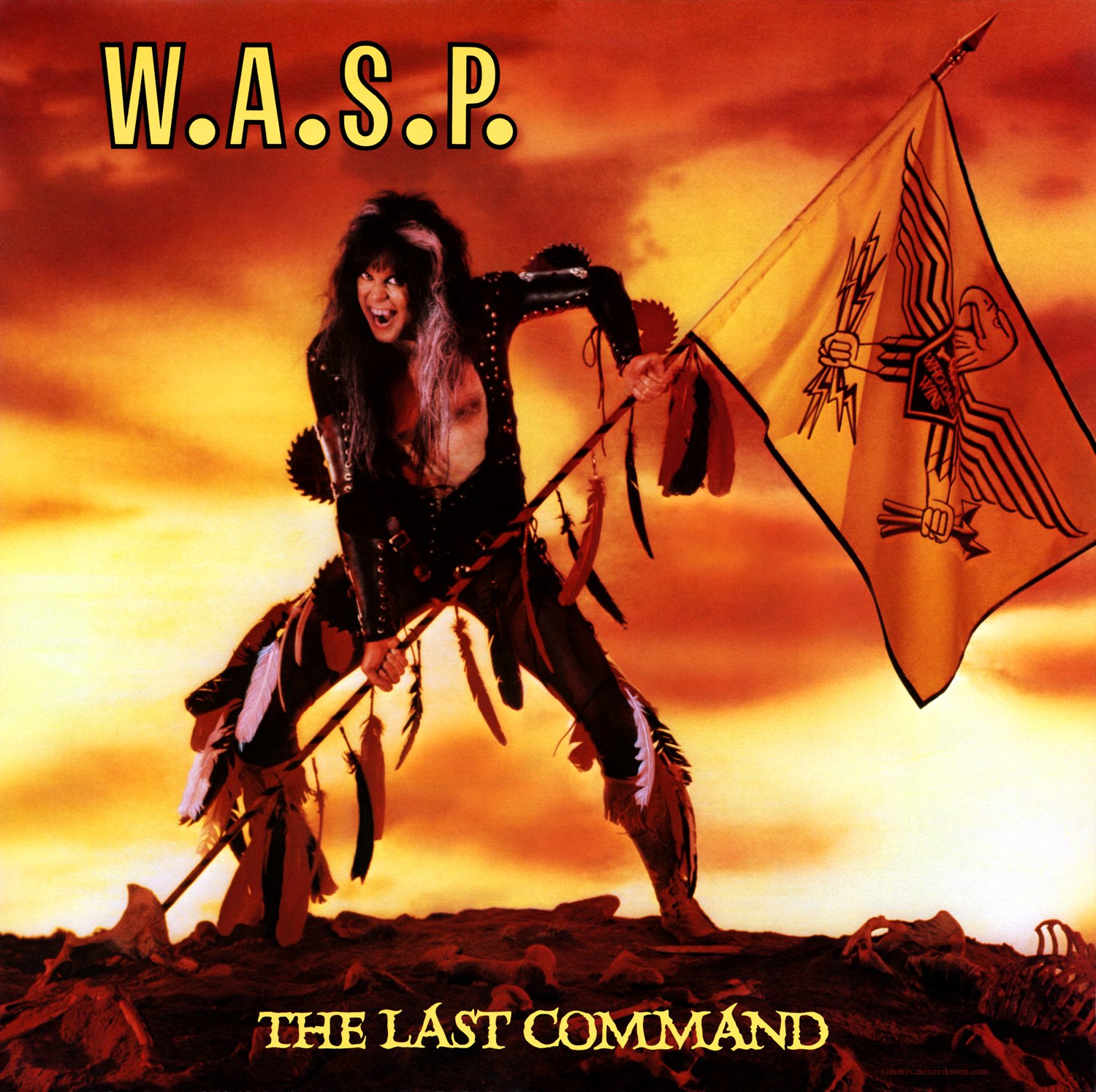 Wasp Band Wallpaper