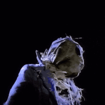 cnnr333’s Music Profile | Last.fm